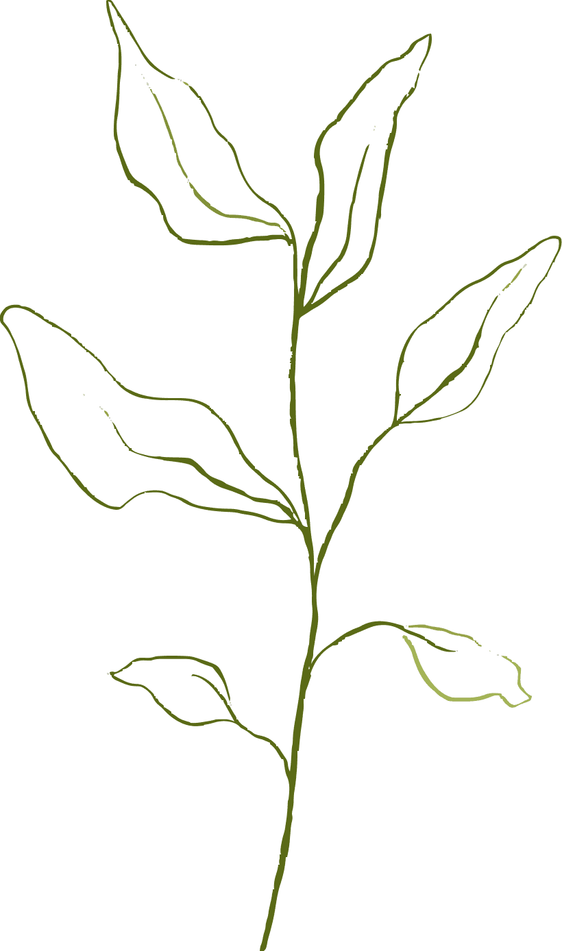 Head Spa & Wellness in Hamburg | Dermastil